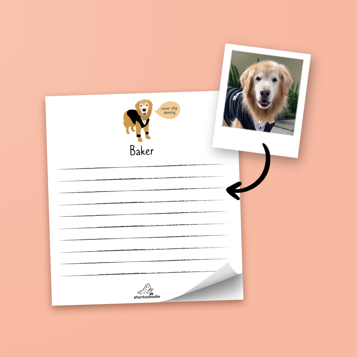 Baker Barnes (Instagram @bakerbarnes) – Sharkadoodle