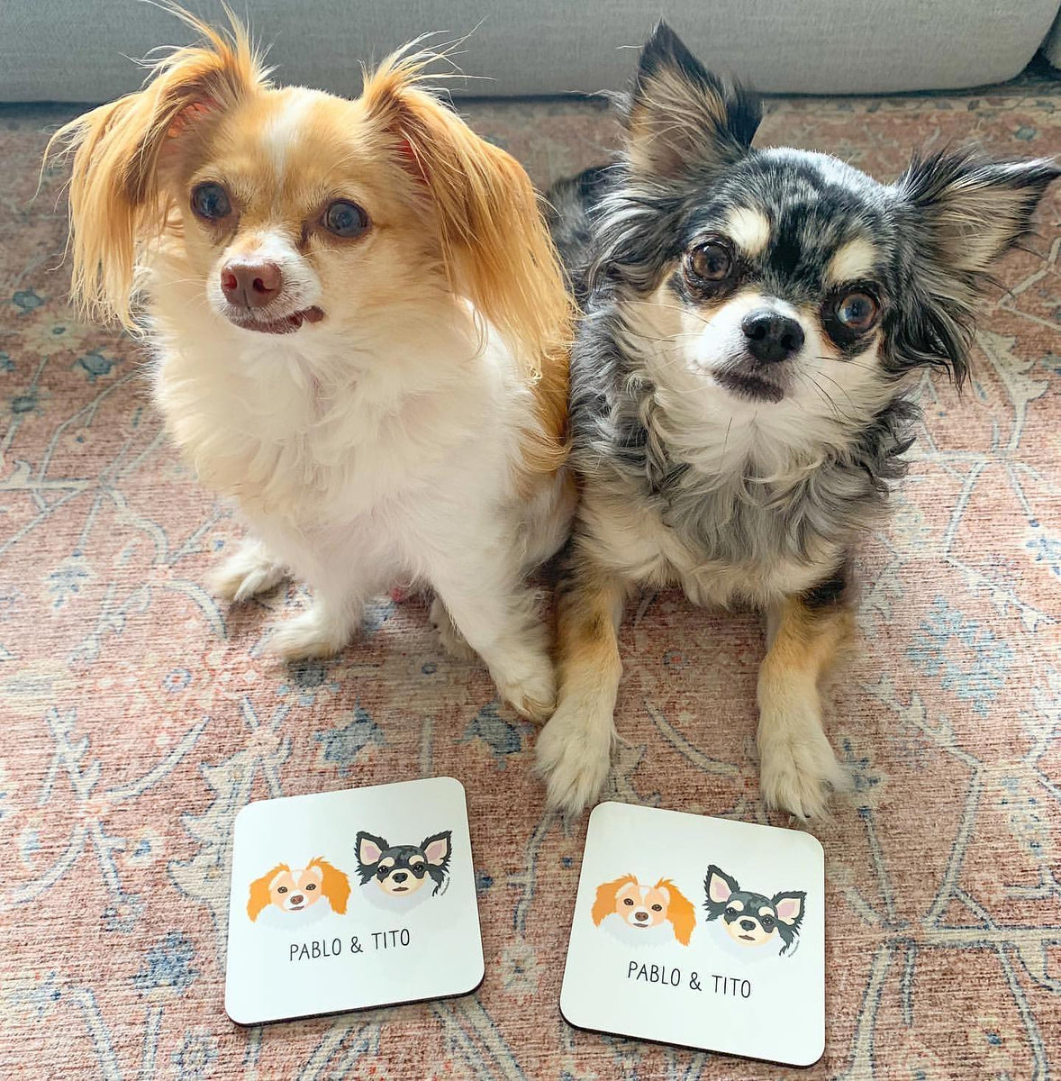 Dog Coaster Set – Sharkadoodle